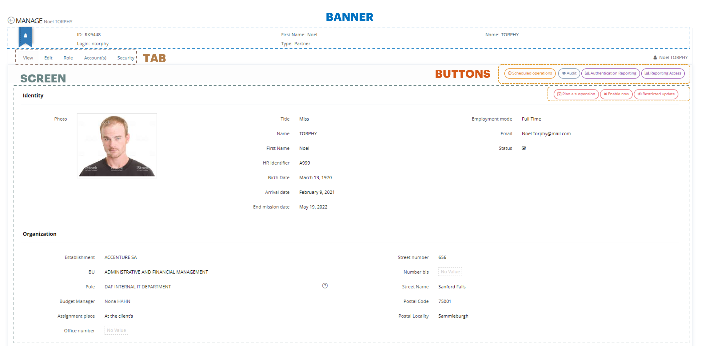 Advanced Customization Options